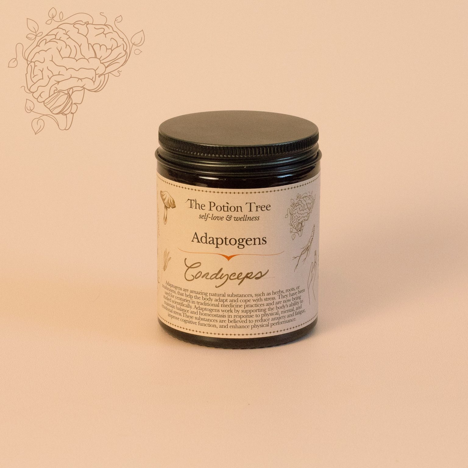 The Potion Tree, botanical and natural products for beauty and wellbeing